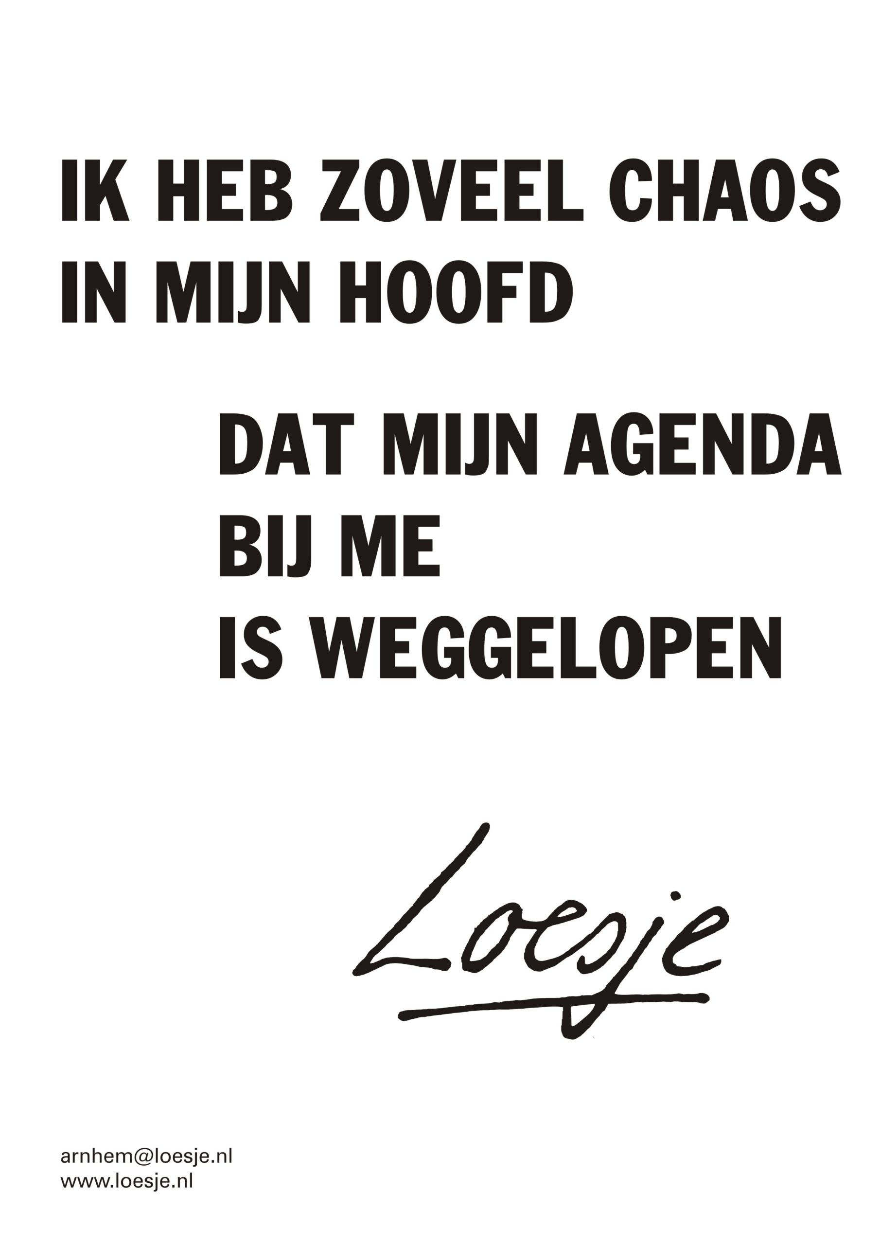 Ik heb zoveel chaos in mijn hoofd dat mijn agenda bij me is weggelopen ...