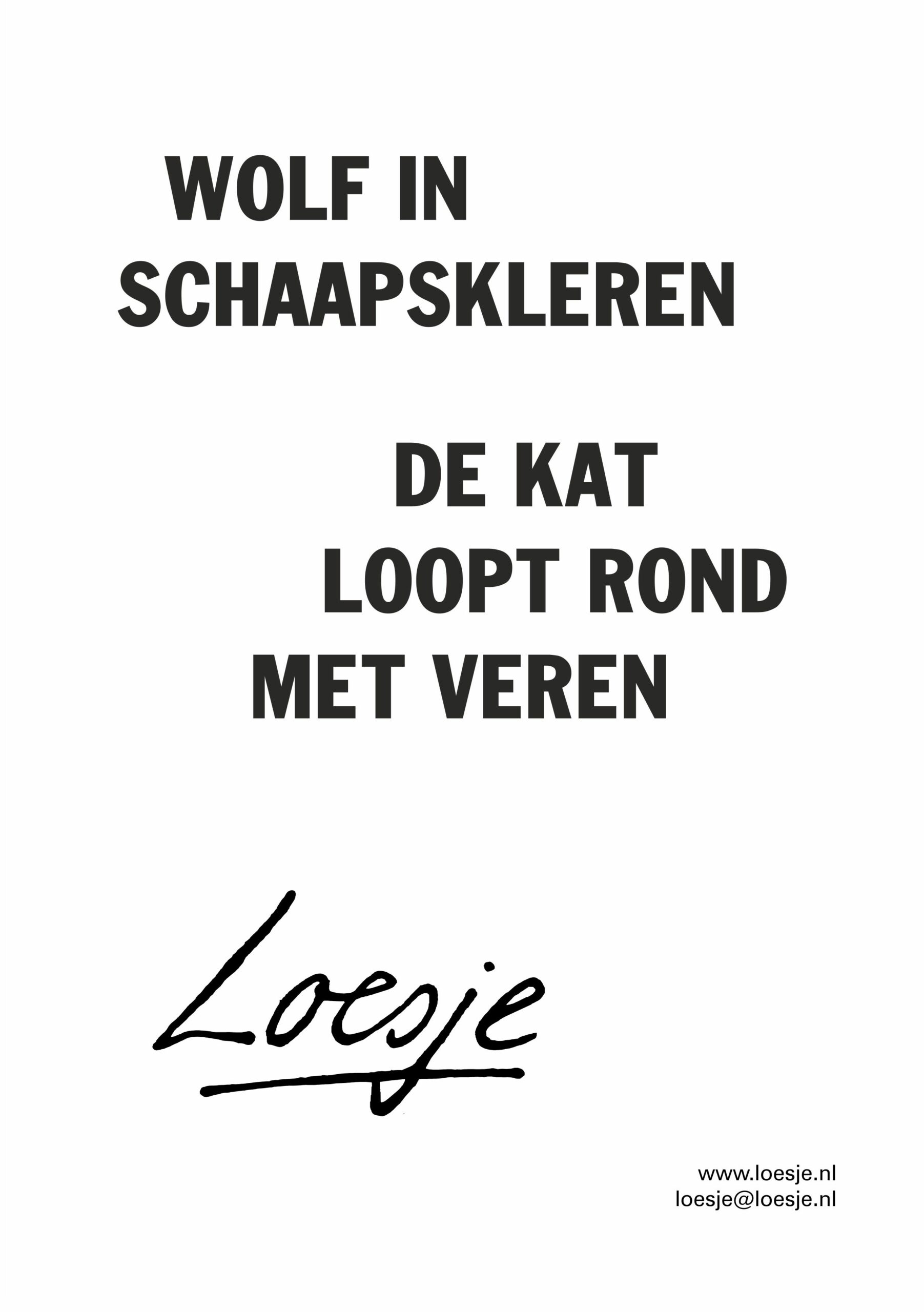 Wolf in schaapskleren / de kat loopt rond met veren | Loesje